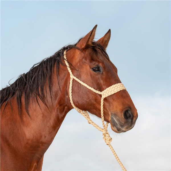 WIDE NOSE FLAT BRAID HALTER AND LEADROPE – Ropes and Tack